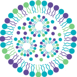Home - Next Gen Lipid-Based Nanoparticles Delivery Summit